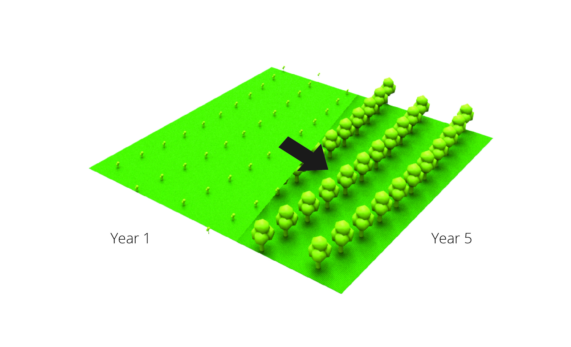 Kickstart your transition to Regenerative Agroforestry with our ...