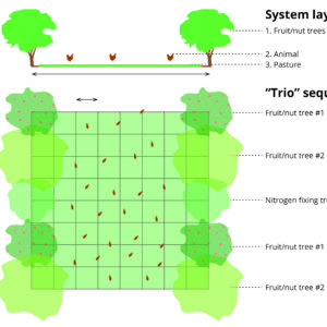 Agroforestry system assessment and design - Regen Farmer
