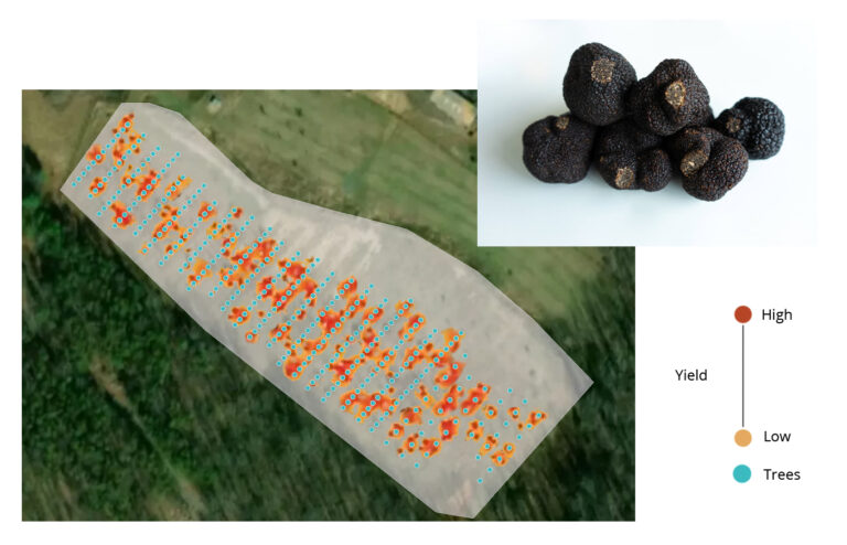 Analytics Software for Truffle Growers