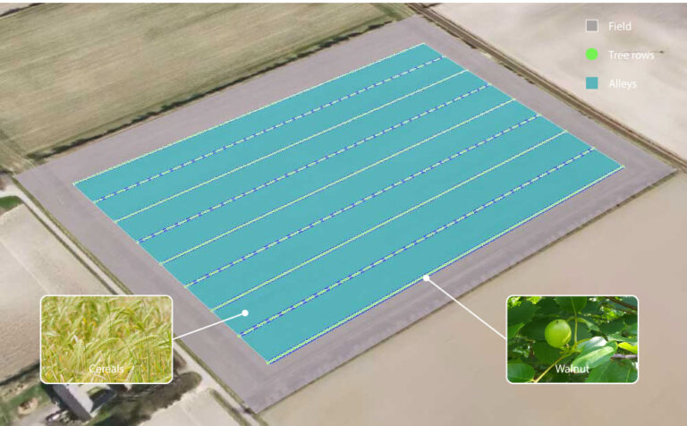 Design of Alley Cropping System in UK