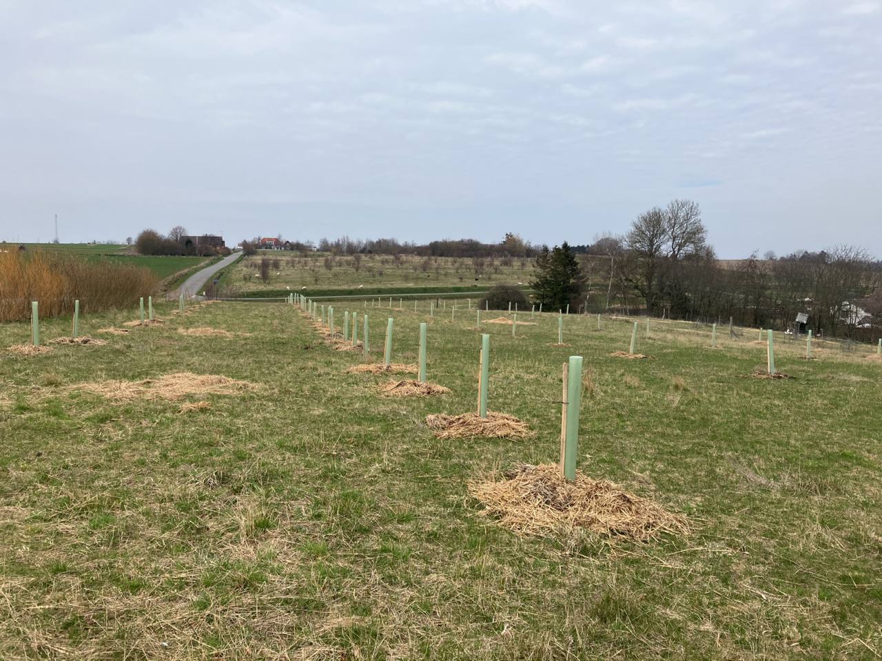 Agroforestry Project Development Services